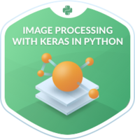 Image Processing with Keras in Python Course | DataCamp