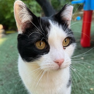 Isabelle Grima - Dow Jones