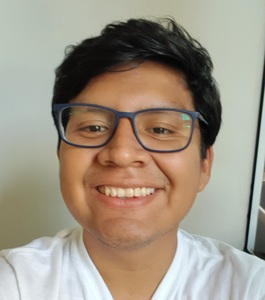 LUIS DANIEL HUINGO CHAVEZ - Student