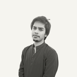 Alok Ranjan - Software Developer